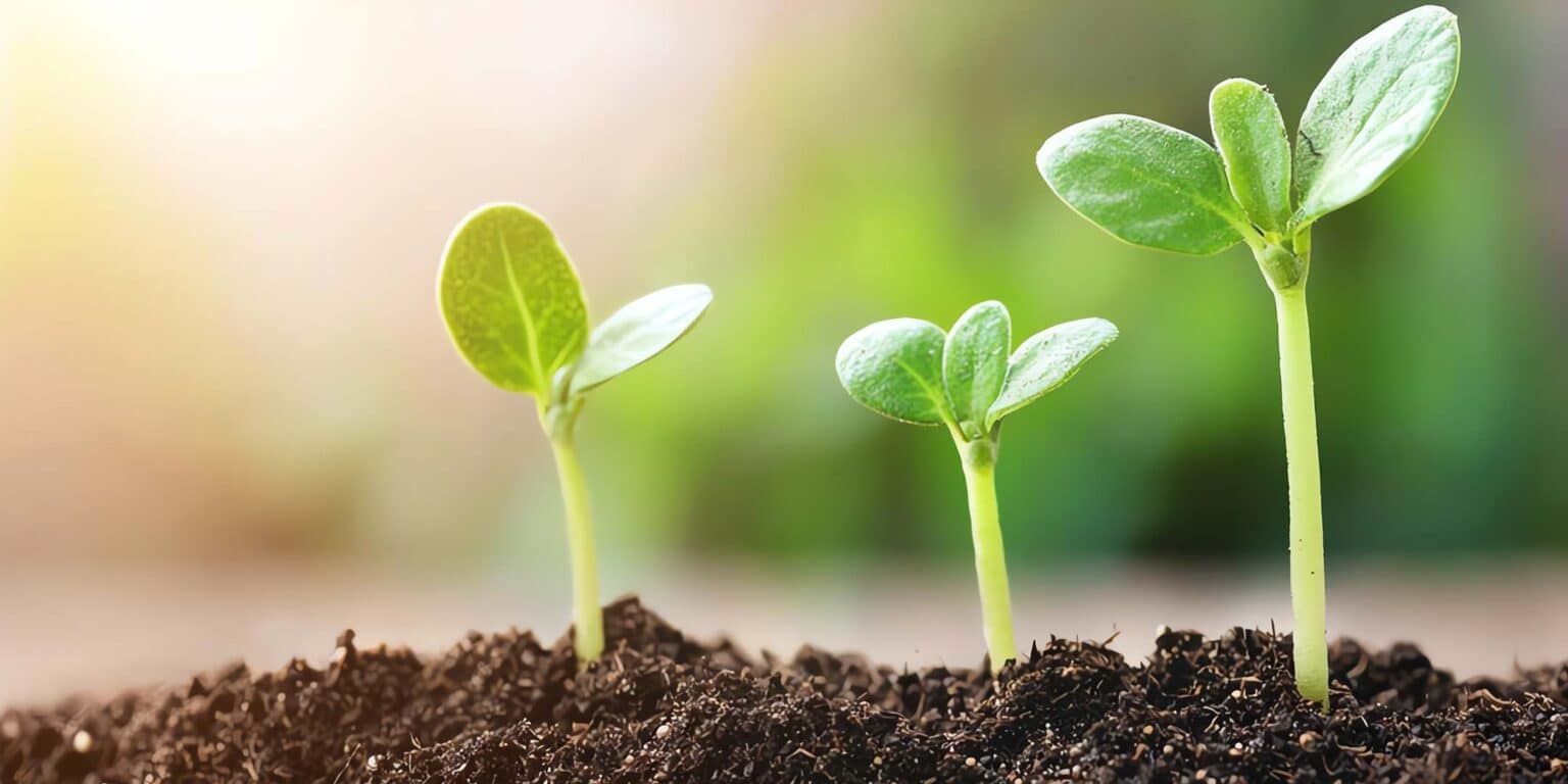 Seed Starting Class: Growing Smarter, Not Harder - Hagood Mill Historic ...